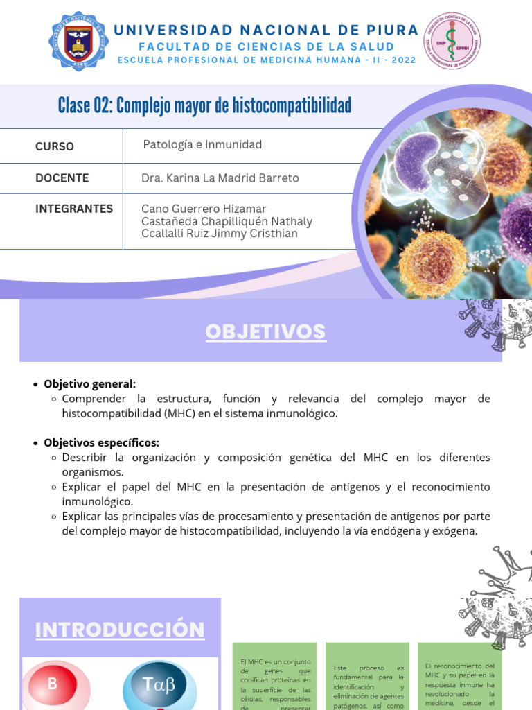 CLASE 02 COMPLEJO MAYOR DE HISTOCOMPATIBILIDAD (1) | PDF | Complejo mayor de histocompatibilidad ...