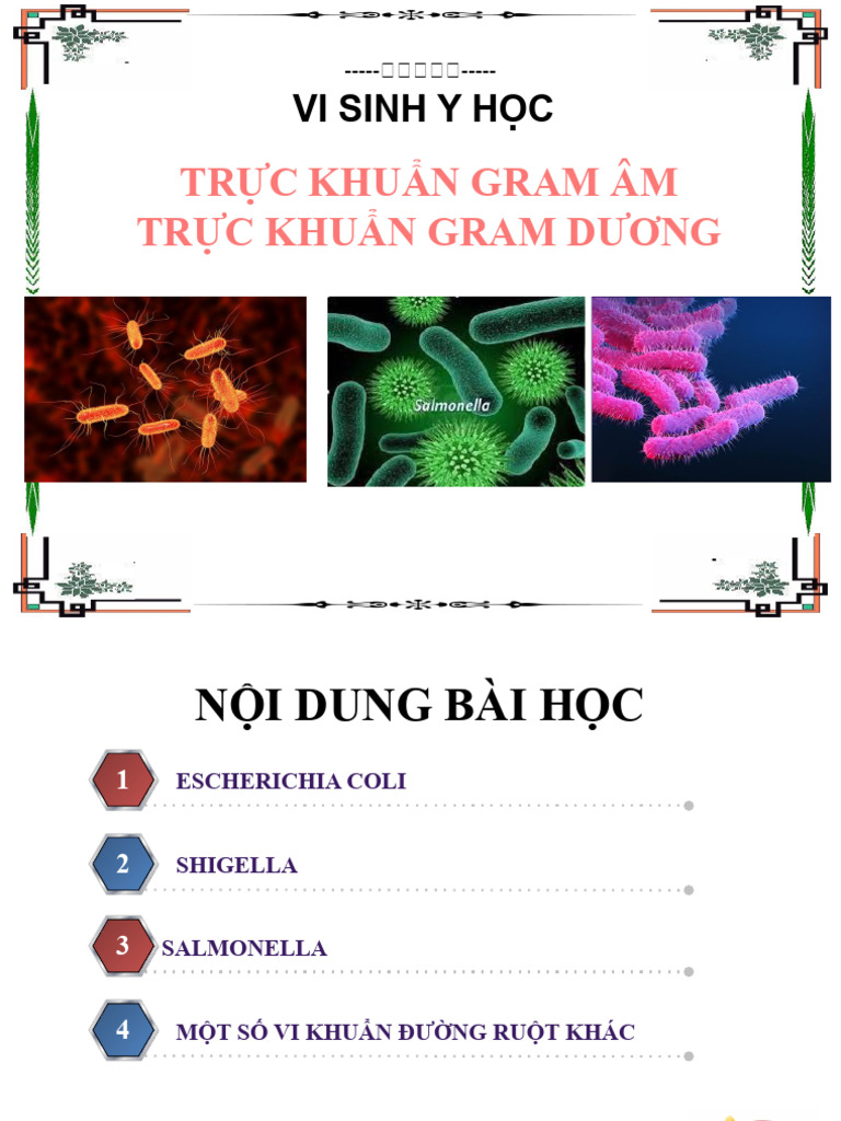 Bản sao của Bài 6 TRỰC KHUẨN GRAM ÂM GRAM DƯƠNG | PDF