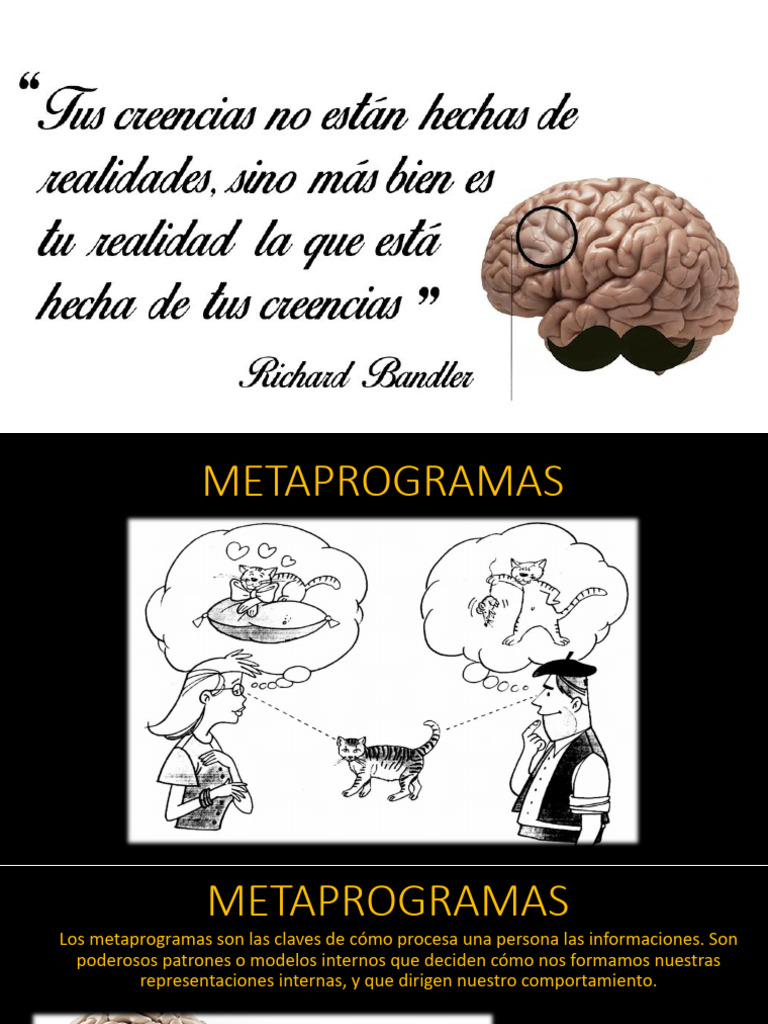 Guía de Metaprogramas y Comportamiento | PDF | Placer