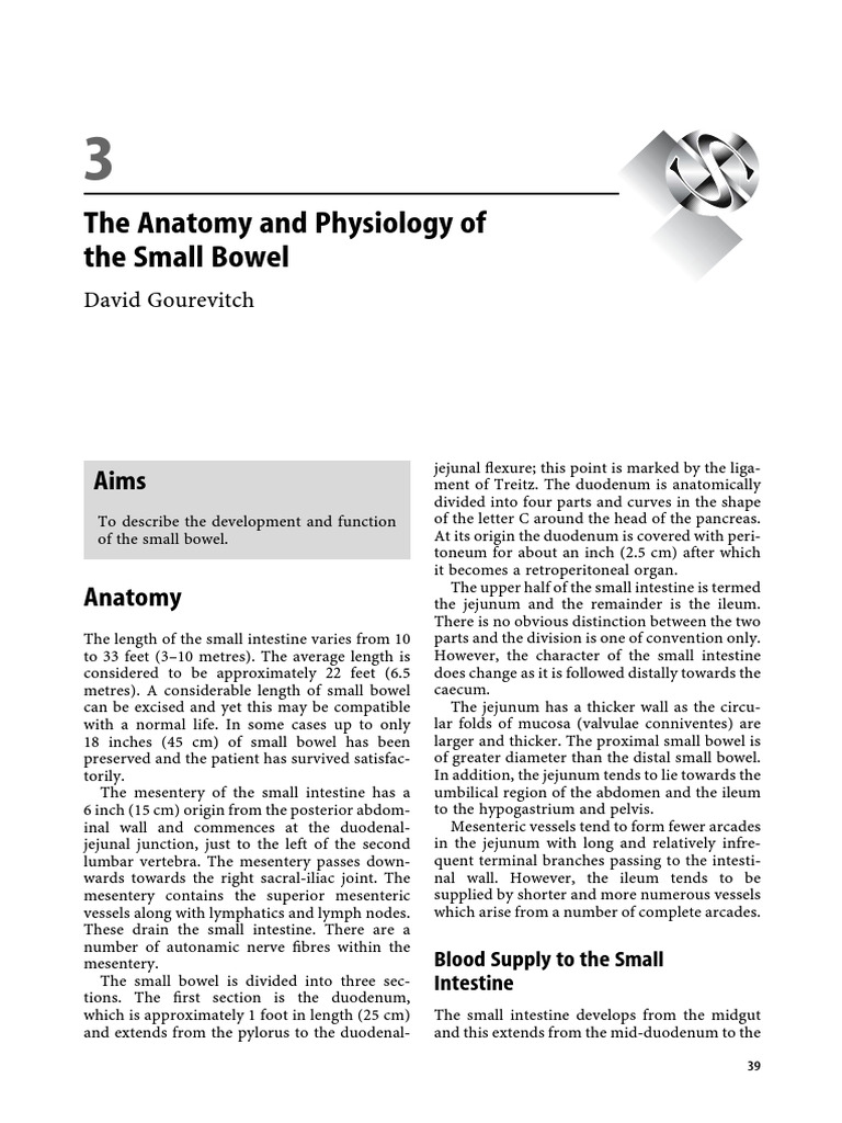 Anatomy and Physiology of the Small Intestine | PDF | Small Intestine ...