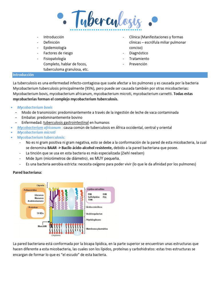 Tuberculosis - AMBOSS - Oriana | PDF | Tuberculosis | Mycobacterium