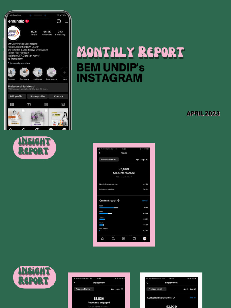 BEM UNDIP Instagram Insights | PDF | Computers