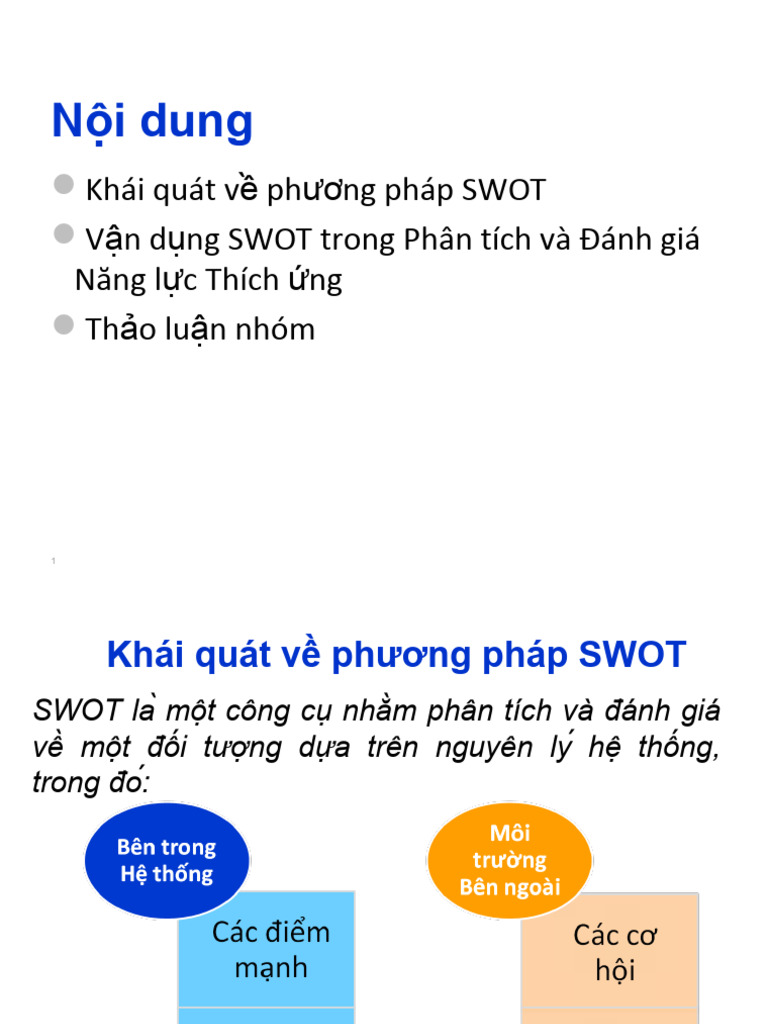Huong Dan Lap SWOT | PDF