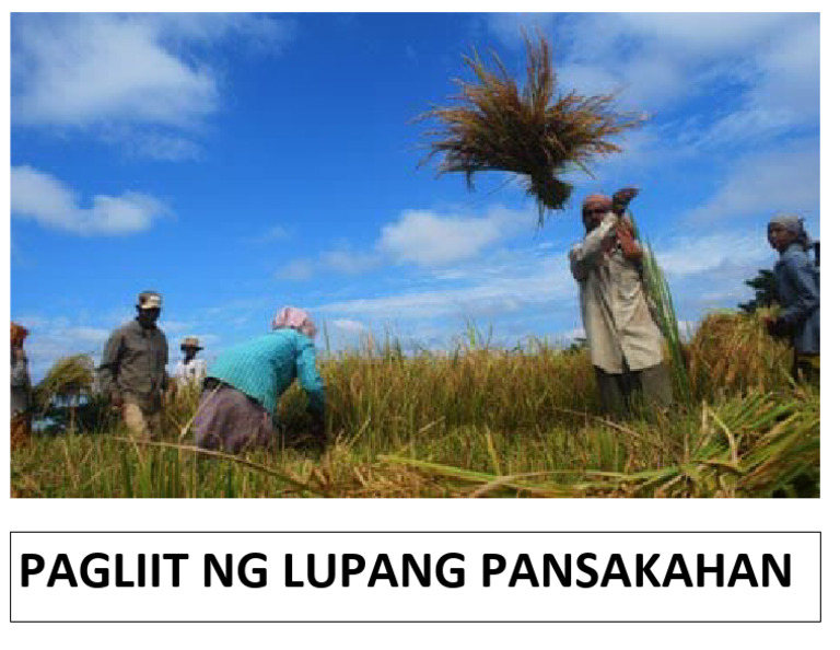 Pagliit NG Lupang Pansakahan | PDF