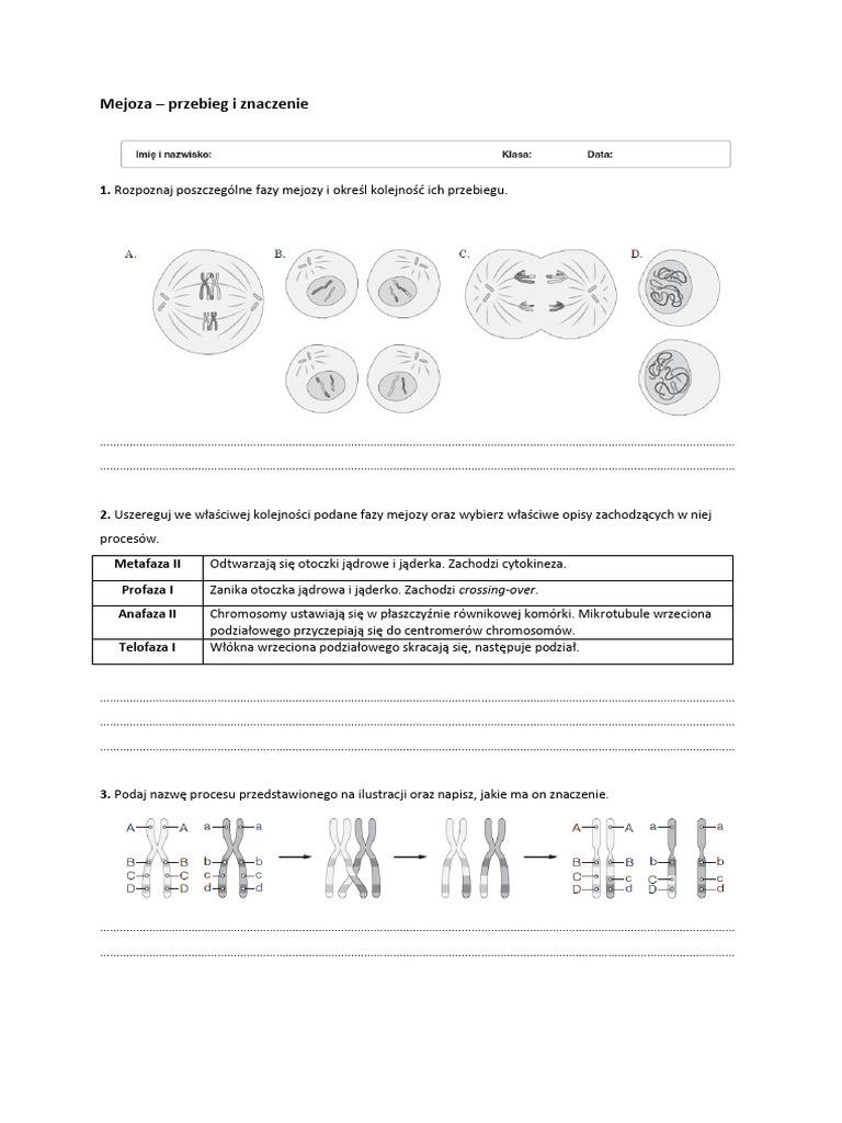 Mejoza Karty Pracy | PDF