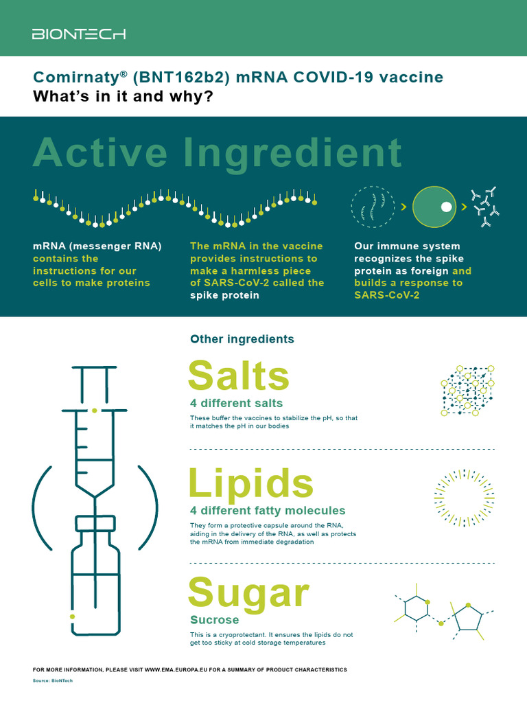 BioNTech_Factsheet_BNT162b2_Manufacturing_Process_Ingredients (1) | PDF | Messenger Rna | Rna