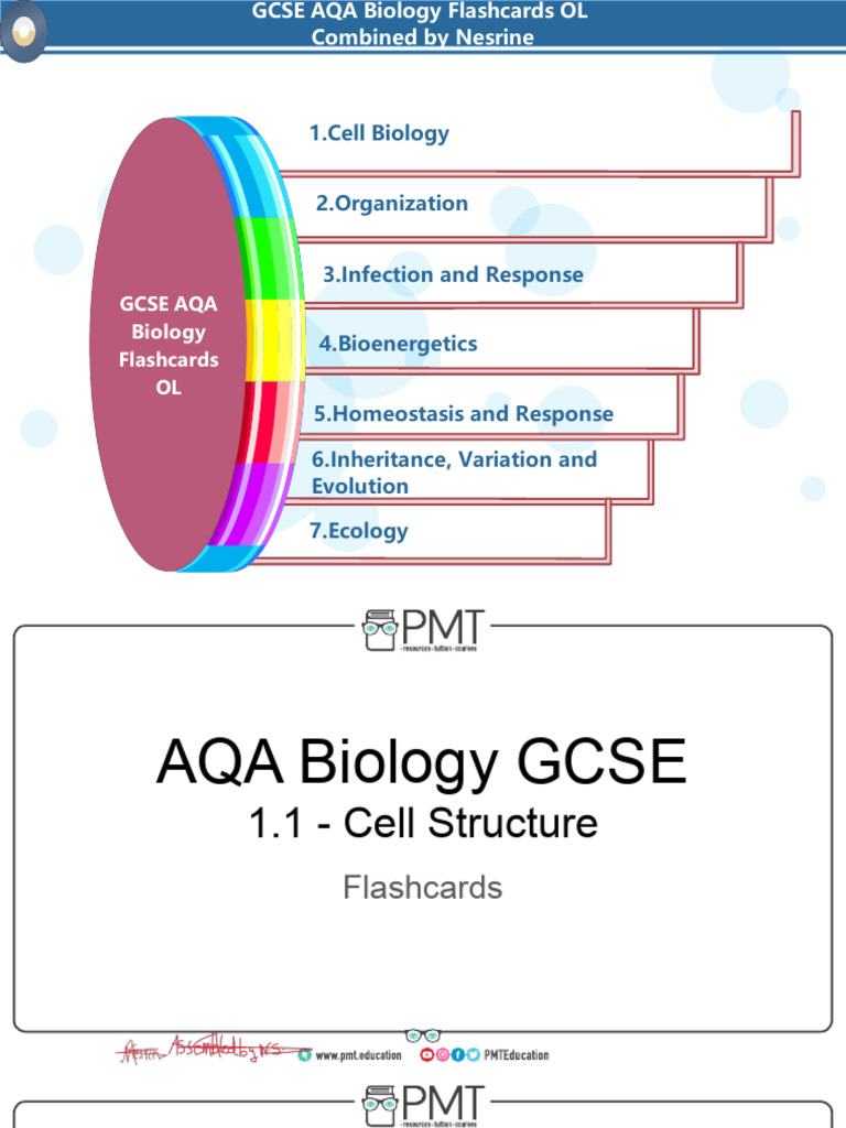 Nesrine-AQA GCSE Biology Flashcards | PDF | Heart | Vein
