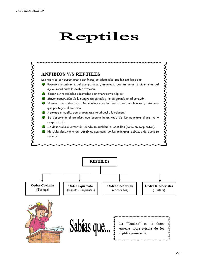 IV Bim - 2do. Año - Bio - Guía 3 - Reptiles | PDF | Reptil | Anfibio