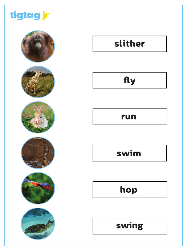 How Do Animals Move Activity Sheet | PDF