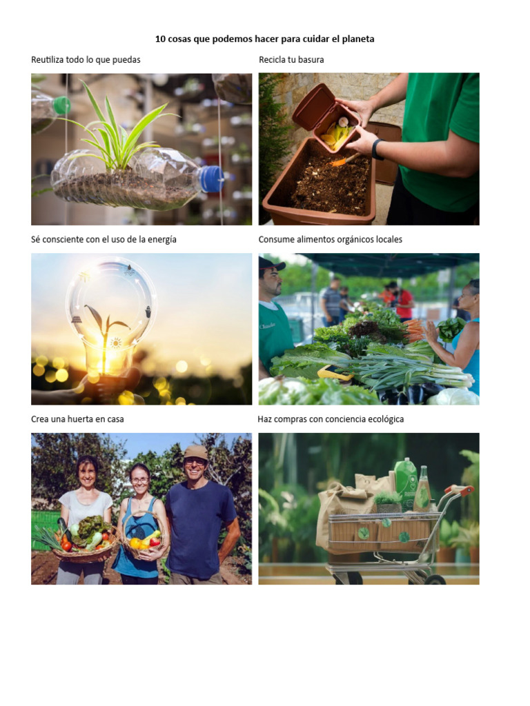 10 cosas que podemos hacer para cuidar el planeta | PDF