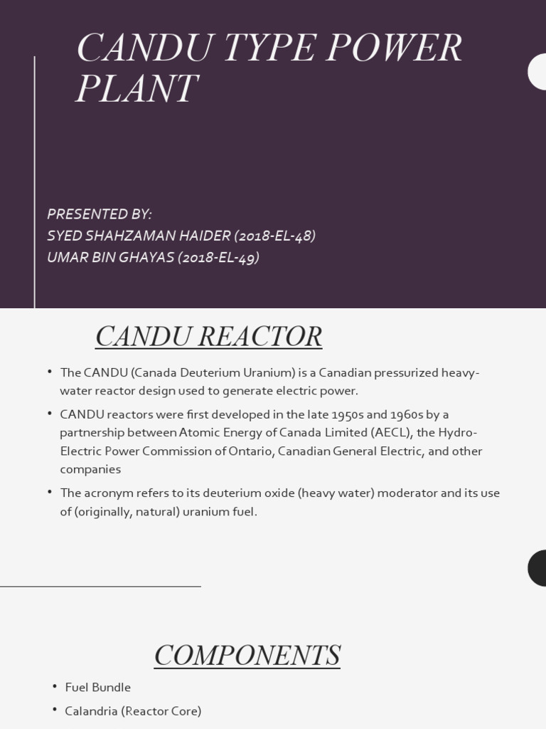 Candu Type Power Plant | PDF | Nuclear Fuel | Nuclear Reactor