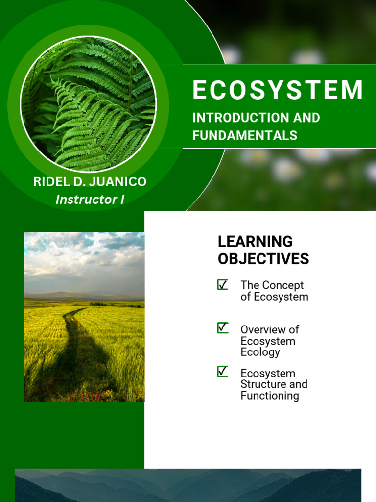 L1 - ECOSYSTEM - Introduction and Fundamentals | PDF