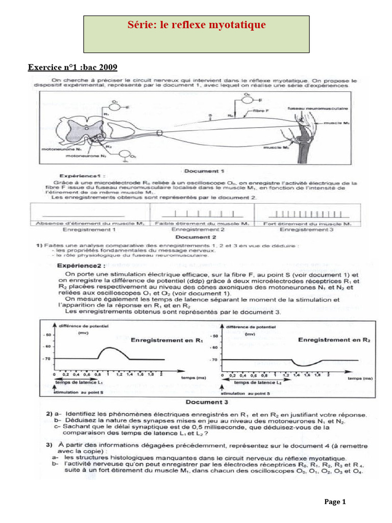 Neuro Exercices 2 Reflexe Myotatique | PDF | Physiologie | Neuroanatomie