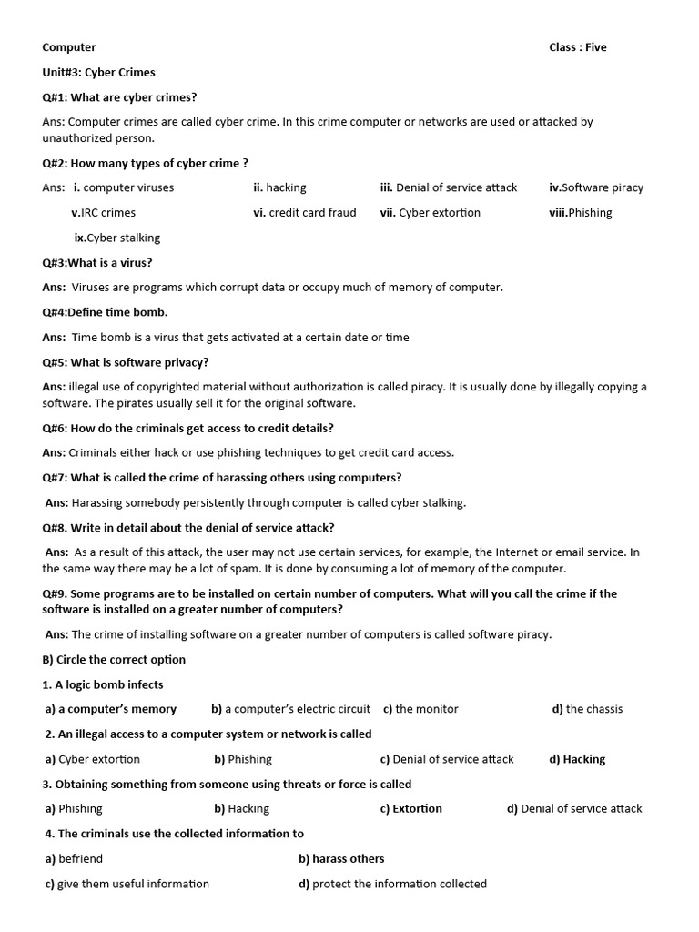 Computer Class 5 Pdf Cybercrime Robot