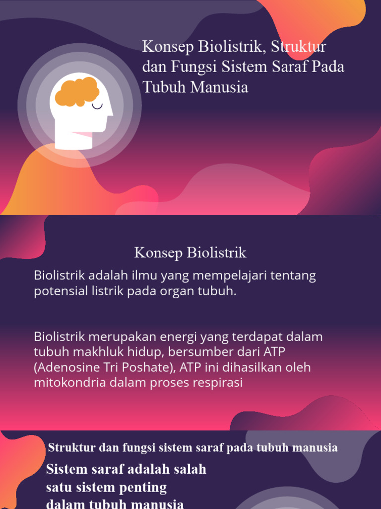 Sistem Saraf | PDF