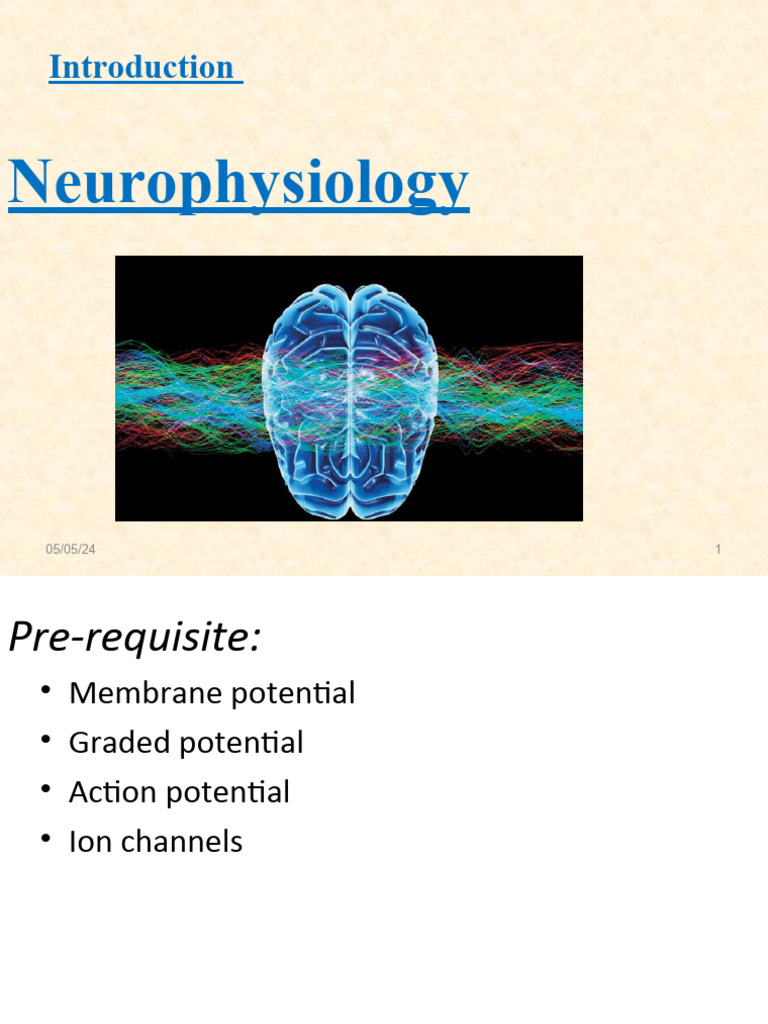 Neurophysiology( for Nursing Students | PDF | Chemical Synapse | Neurotransmitter