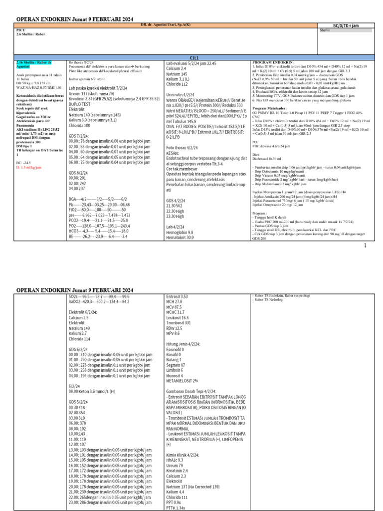 Operan Endokrin 9 Februari 2024 | PDF