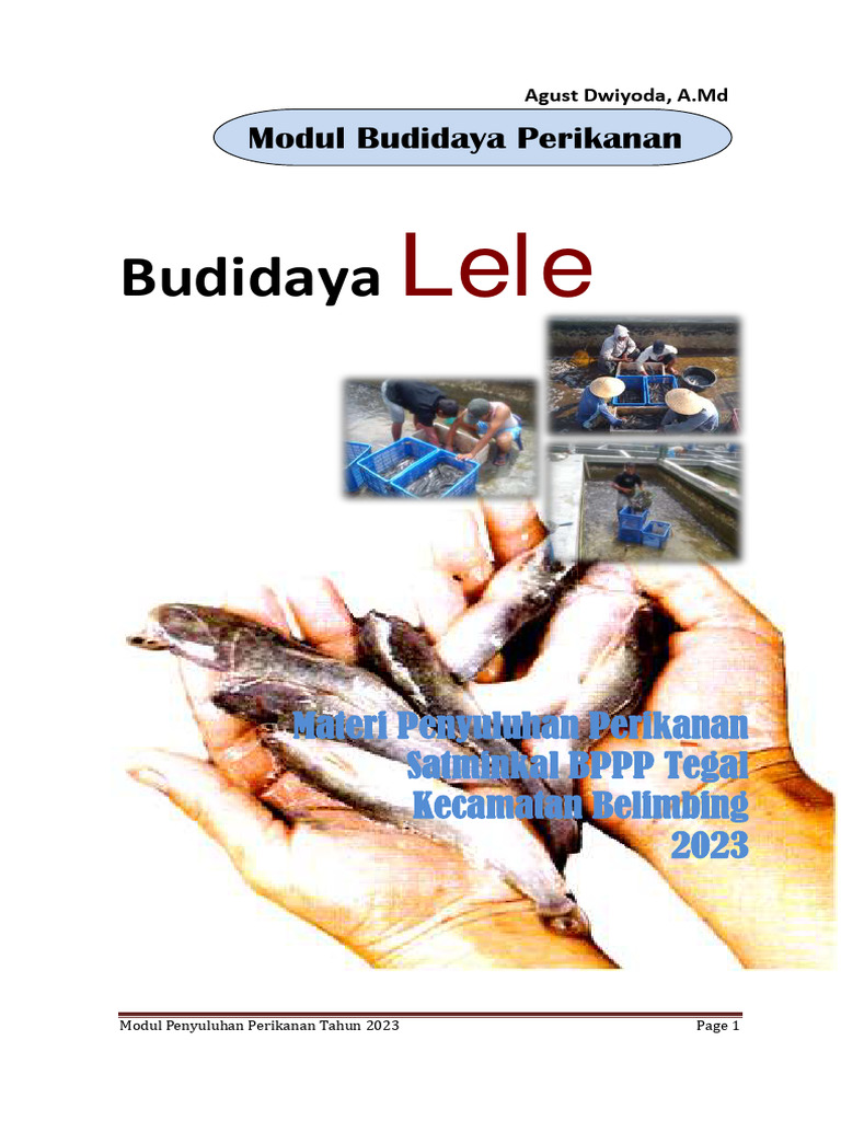 Panduan Budidaya Lele | PDF | Sains & Matematika | Teknologi & Rekayasa