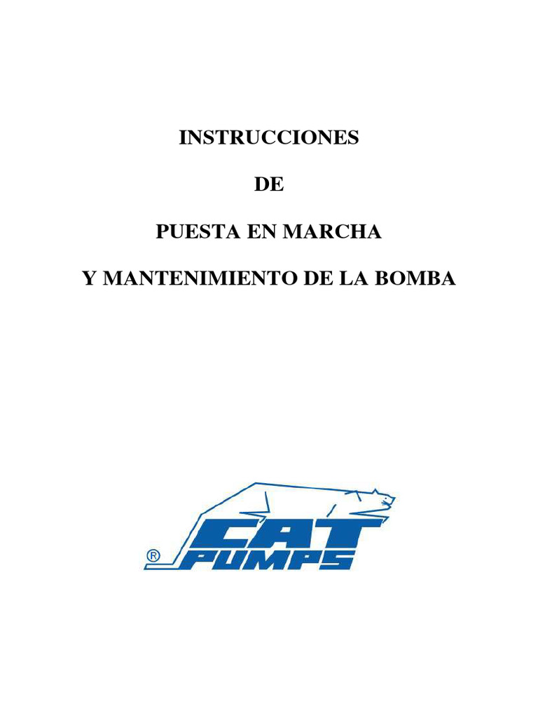 Instrucciones de Puesta en Marcha y Mantenimiento de La Bomba Cat | PDF | Bomba | Presión