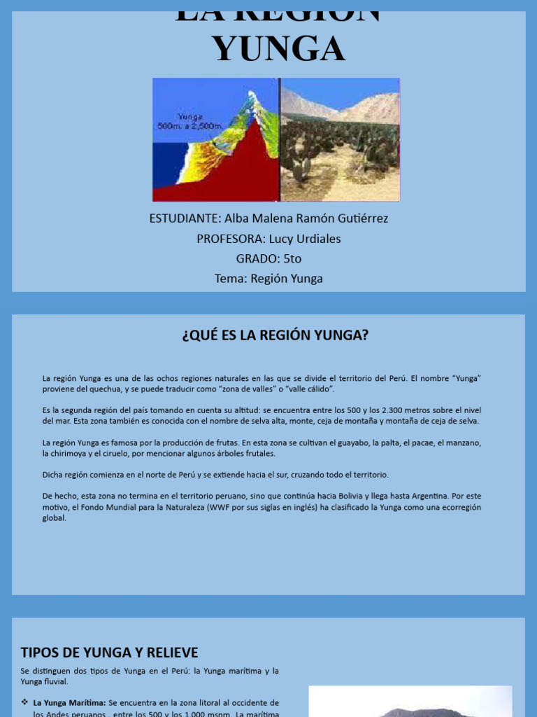 La Region Yunga | Descargar gratis PDF | Ciencias de la Tierra