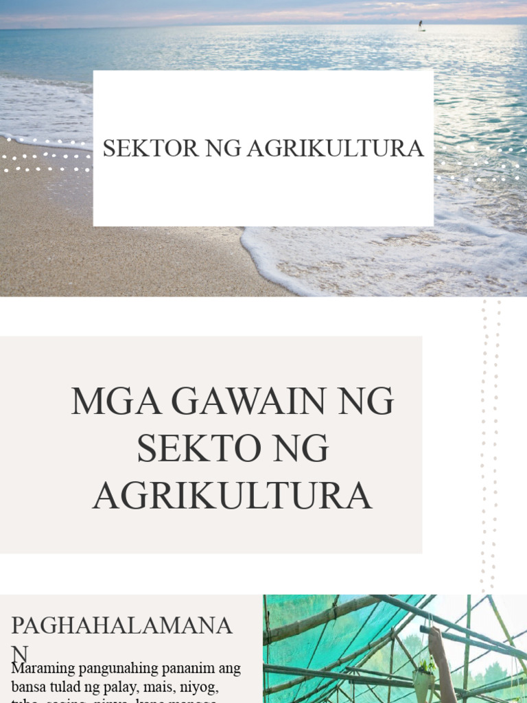 Sektor NG Agrikultura | PDF