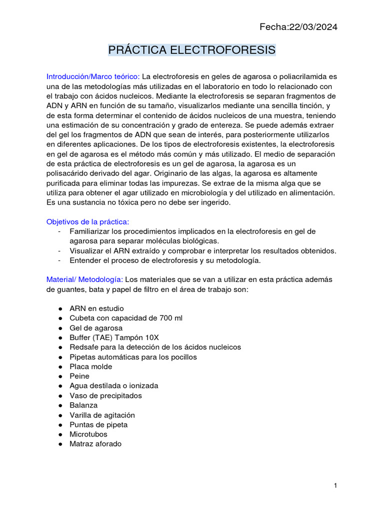 PRÁCTICA ELECTROFORESIS | PDF | Electroforesis | Electroforesis en gel de agarosa