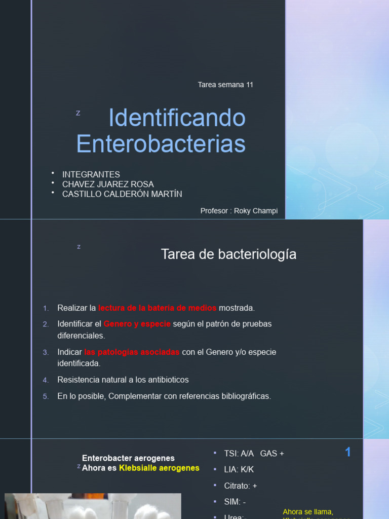 Sem 11 - Identificando Enterobacterias. Pruebas Bioquímicas - Viene en Examen | PDF | Beta ...