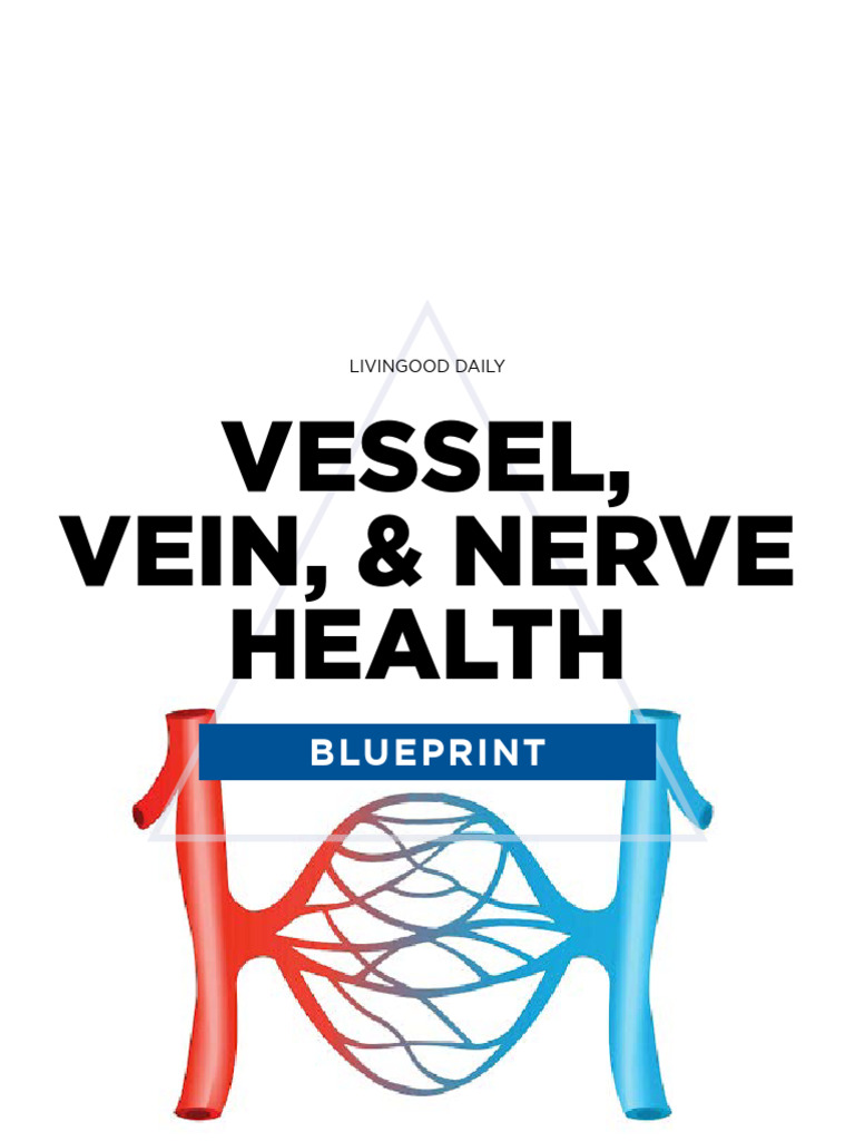 Vessel, Vein, & Nerve Health Blueprint | PDF | Foods | Peripheral ...