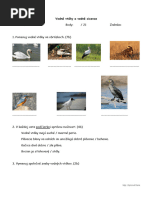 Priepustka K Lek Rovi | PDF