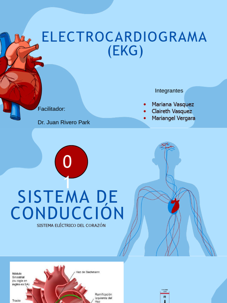 Guía Completa del Electrocardiograma EKG | PDF | Electrocardiografia ...