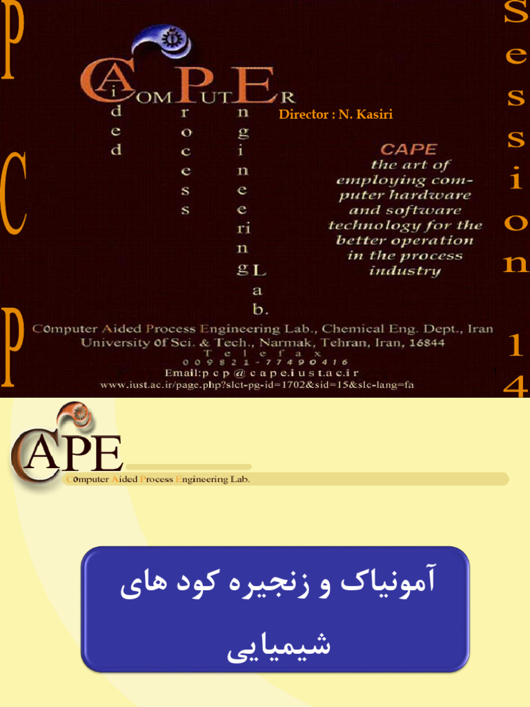 PCP Session 14 (Ammonia) V15 4002 Students Version | PDF