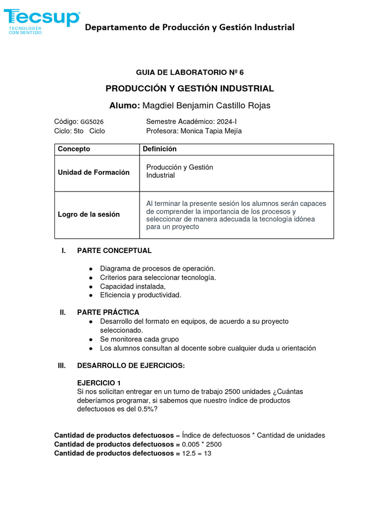 GLAB-S06-MTAPIA-2024-01 - Magdiel Benjamin Castillo Rojas | PDF | Negocios