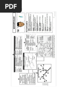 Grade 12 Geomorphology Overview | PDF | River | Stream