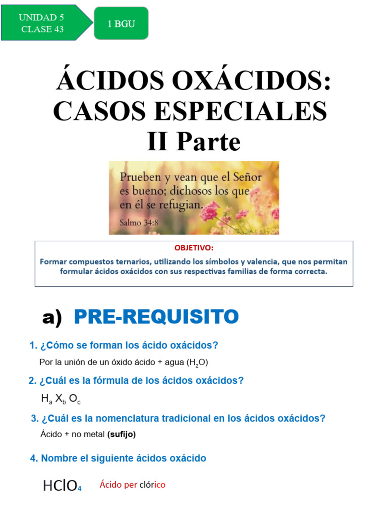 1BGU Unidad 5 Clase 43 Acidos Oxacidos Parte2 | PDF | Compuestos químicos | Moléculas