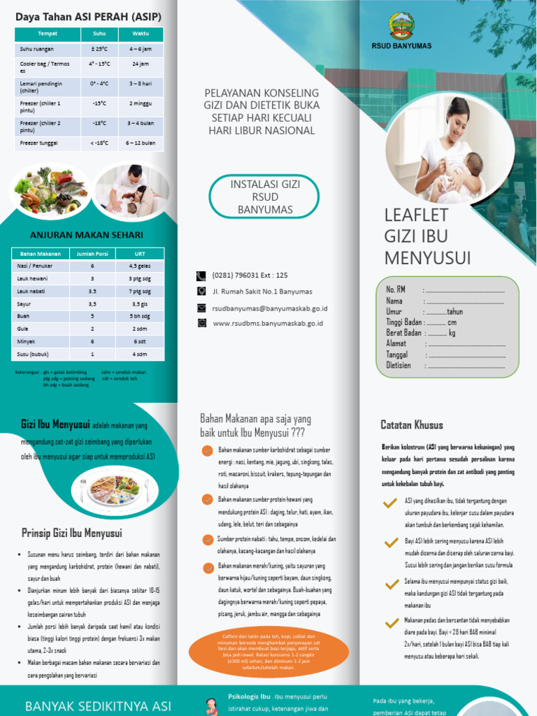 Leaflet Gizi Ibu Menyusui | PDF