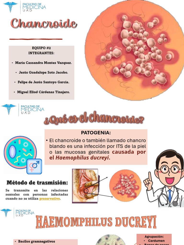 Chancroide: Guía Clínica y Epidemiológica | PDF | Epidemiología ...