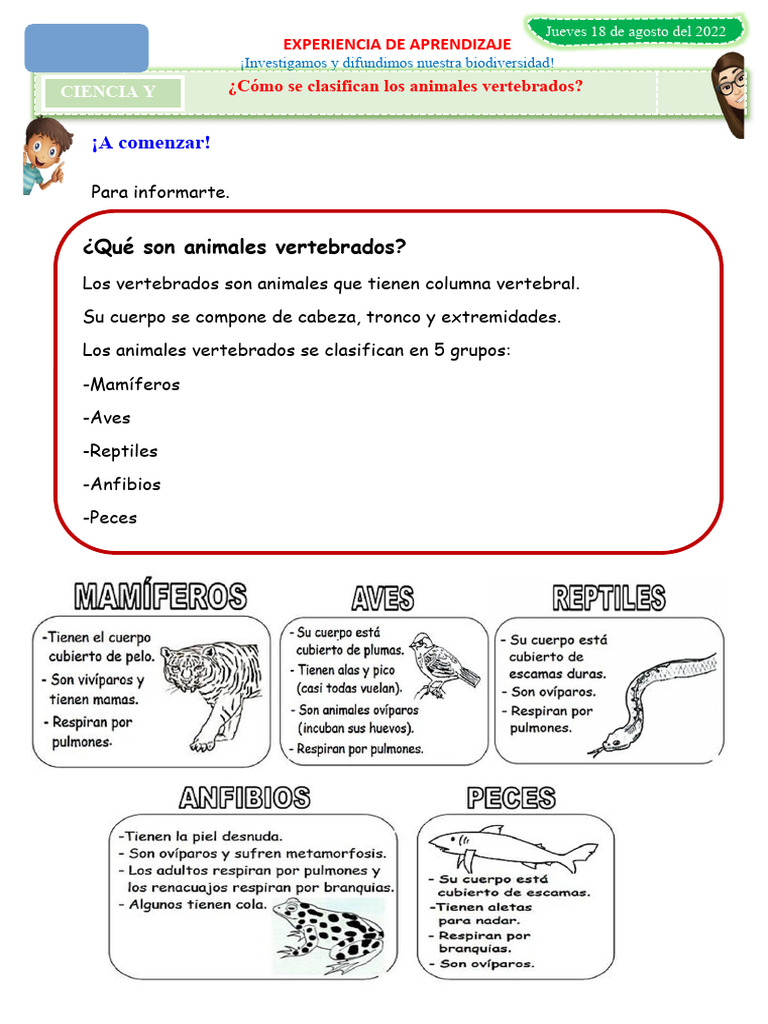 Clasificación y Movilidad de Vertebrados | PDF | Zoología