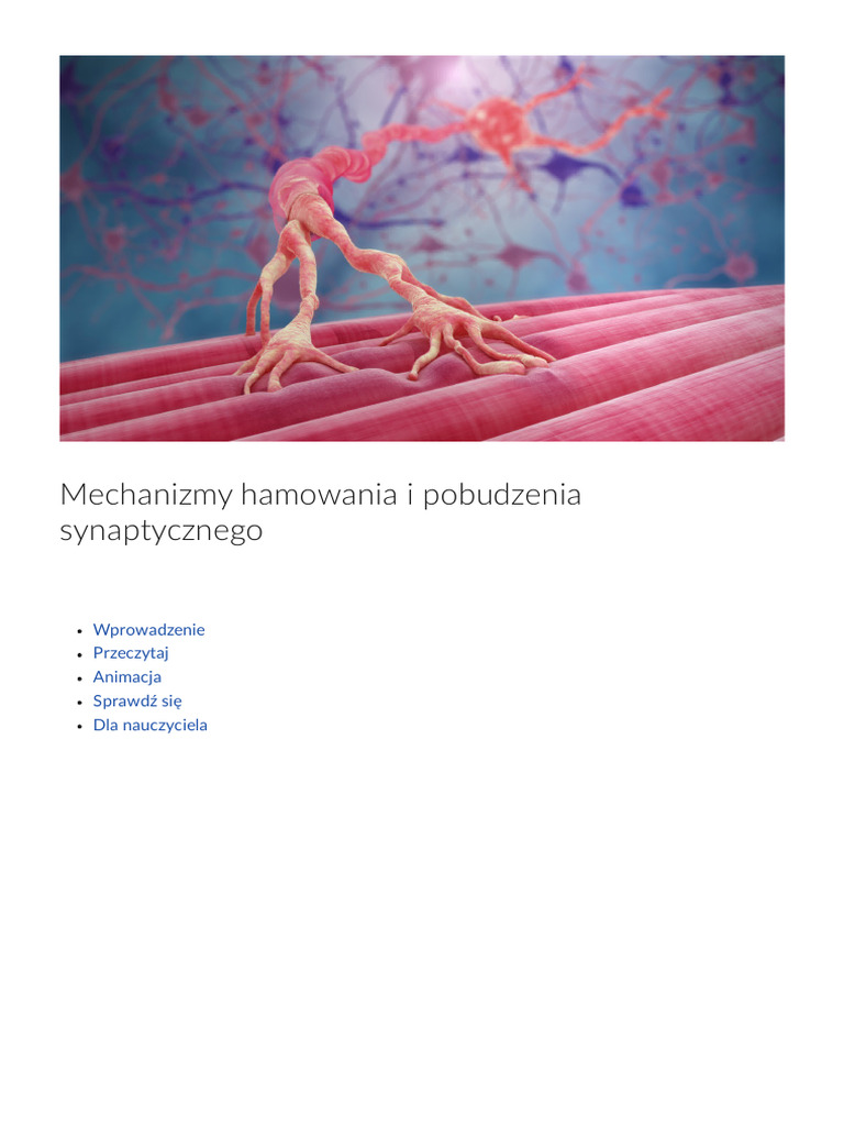 Mechanizmy Hamowania I Pobudzenia Synaptycznego | PDF