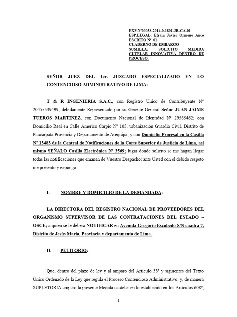 Mci - Tyr-Cristobal | PDF | Mandato | Debido al proceso