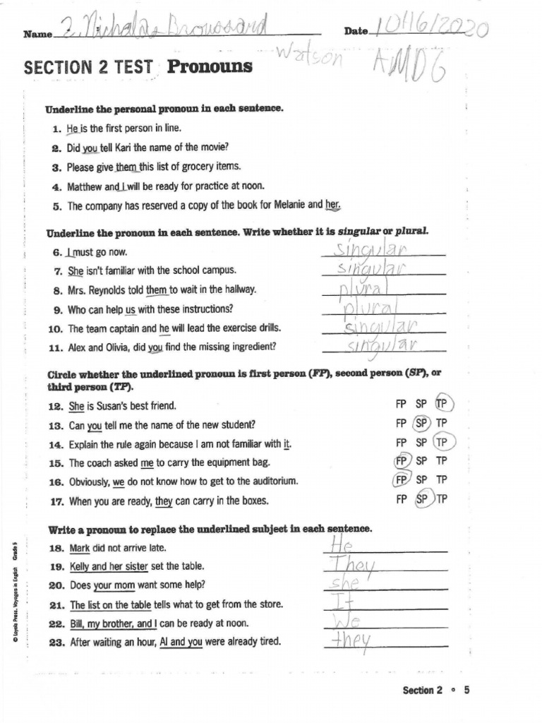 Pronoun Test Nicholas Broussard | PDF