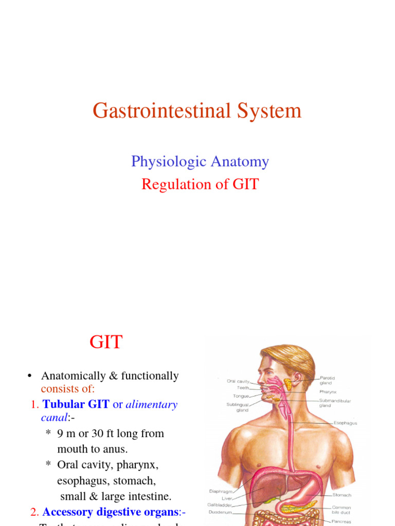 Introduction To GIT (Compatibility Mode) | PDF | Gastrointestinal Tract ...