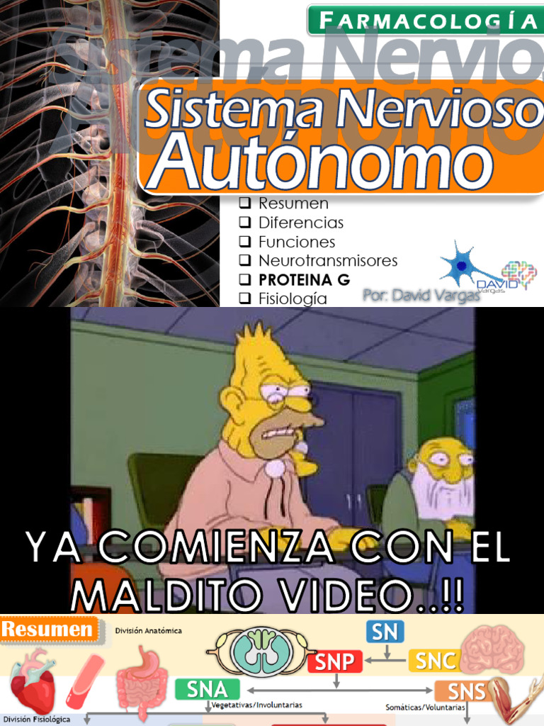 FARMACOS DEL SISTEMA NERVIOSO AUTONOMO, GENERALIDADES SNA David Vargas WEB | PDF | Acetilcolina ...