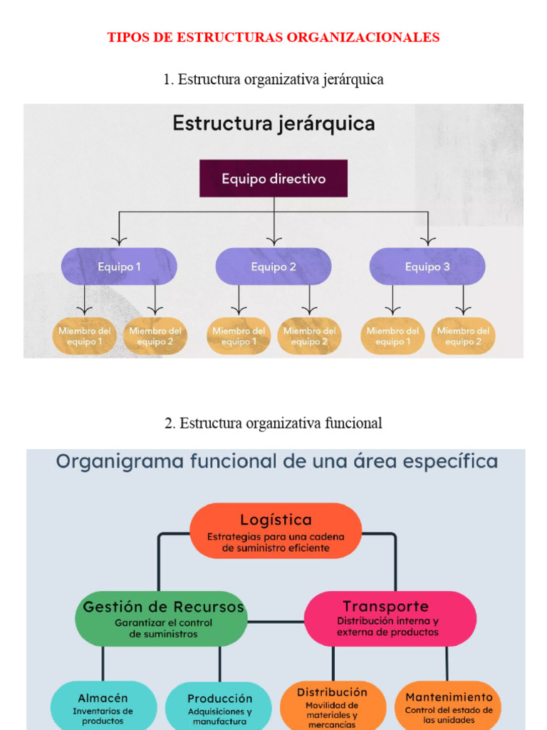 Tipos de Estructuras Organizacionales | PDF | Negocios