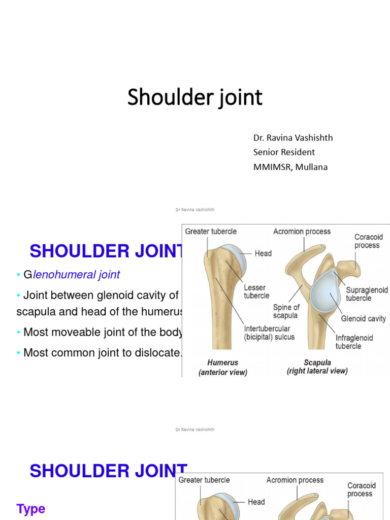 Shoulder Joint | Download Free PDF | Shoulder | Human Anatomy