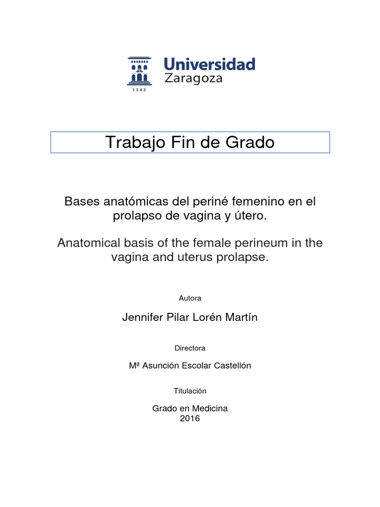 Taz TFG 2016 819 | PDF | Vagina | Pelvis