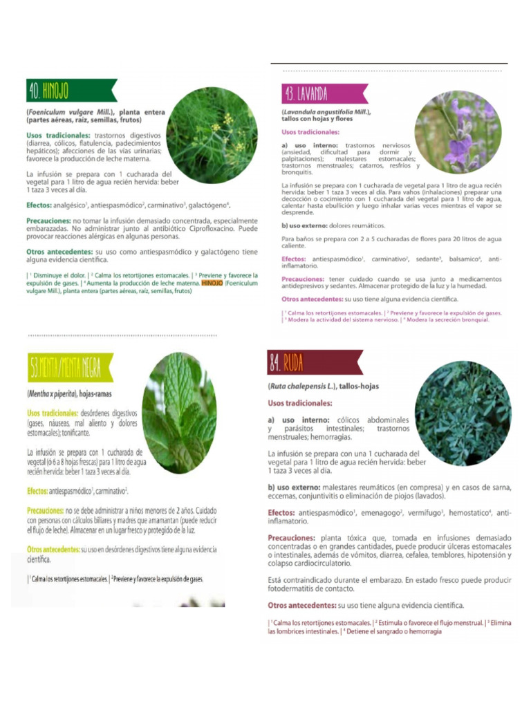 hierbas medicinales | PDF