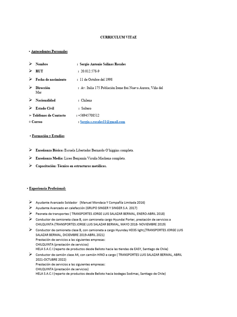 Curriculum Sergio | PDF