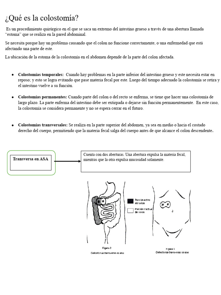 Procedimiento de Colostomía: Guía Esencial | PDF | Cáncer colonrectal ...