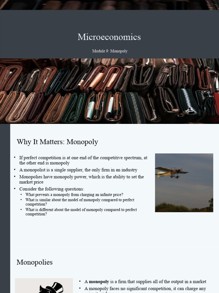 Microeconomics 9 Monopoly Download Free Pdf Monopoly Profit