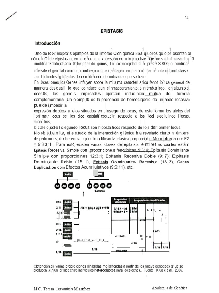EPISTASIS | PDF | Genética de Poblaciones | Evolución biológica